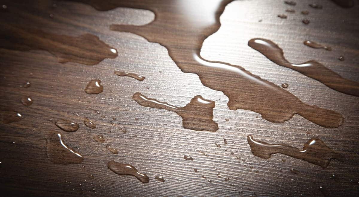 Wood Mites: How To Get Rid Of Them?